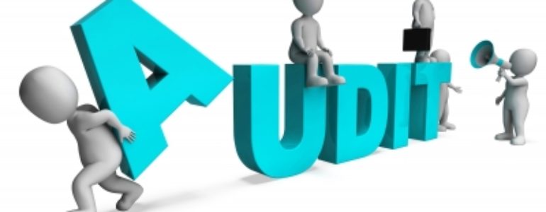 Internal Audit Process of an Ongoing Construction Project